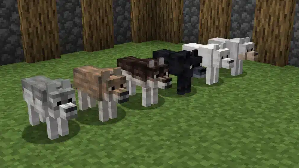 Minecraft Wolf: How to Tame, Train & Use Your Wolf Companion
