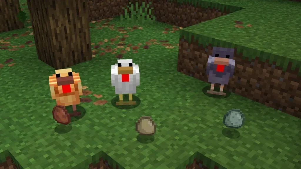 How to get Minecraft chicken and how to use of eggs and feathers