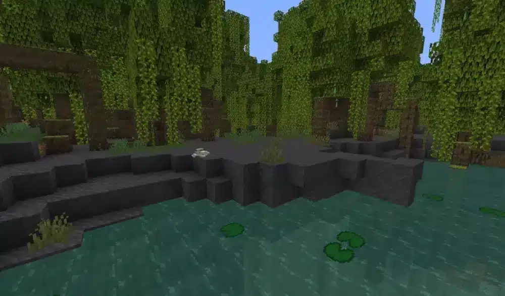 Mangrove Minecraft: Complete Guide to Biome, Trees, and Building ...