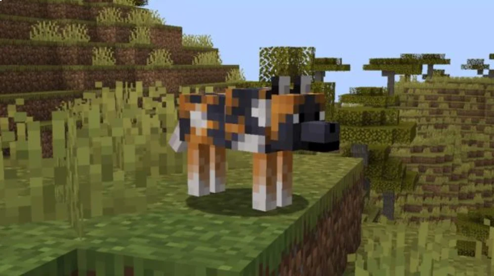 Minecraft Dog: A Complete Guide of How to Tame and Use It