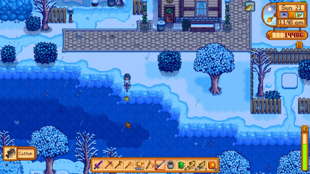 Catfish Stardew Valley: Where to Catch, How to Fish & What to Do