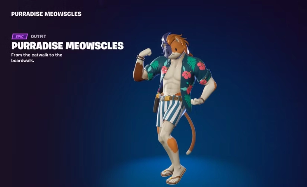 Meowscles Fortnite: Unlock Every Style