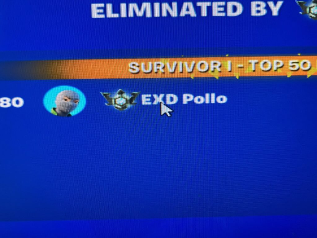 Pollo Fortnite: Detailed Player Profile and Settings Guide