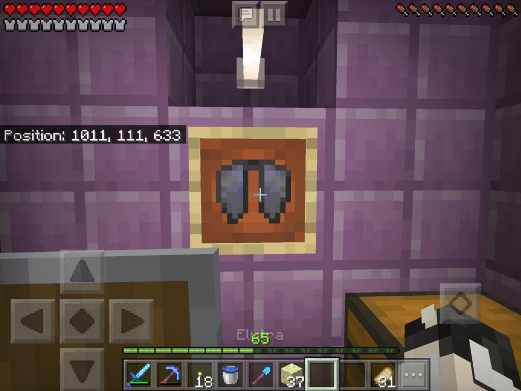 Minecraft Elytra: What It Is, How to Get It, and How to Use It