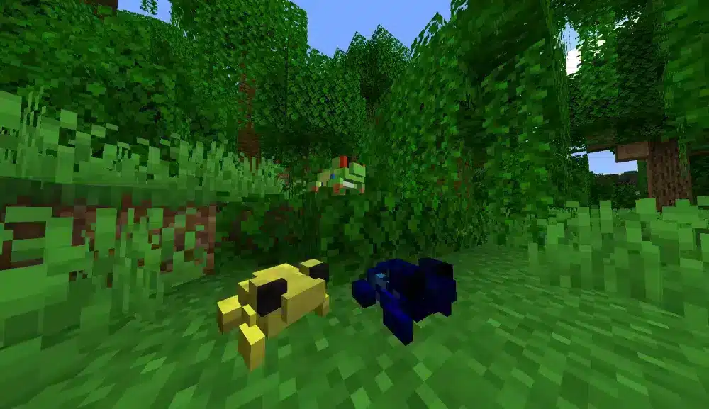 Rana en Minecraft: qué hace y dónde encontrarla