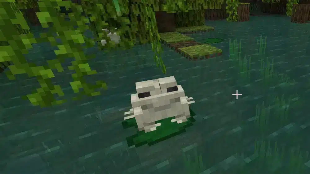 Rana en Minecraft: qué hace y dónde encontrarla