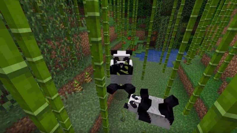 Minecraft Panda: Complete Guide to Pandas in Minecraft