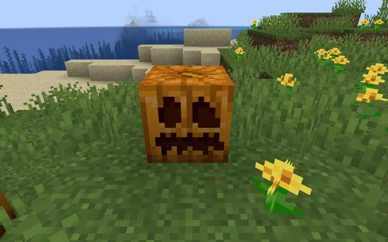 Minecraft Pumpkin: How to Find, Grow, and Use Them