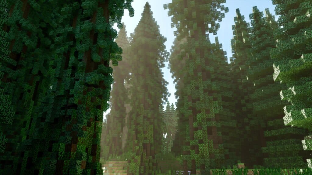 Minecraft Taiga Biome: Best Seeds, Survival Tips & Full Guide
