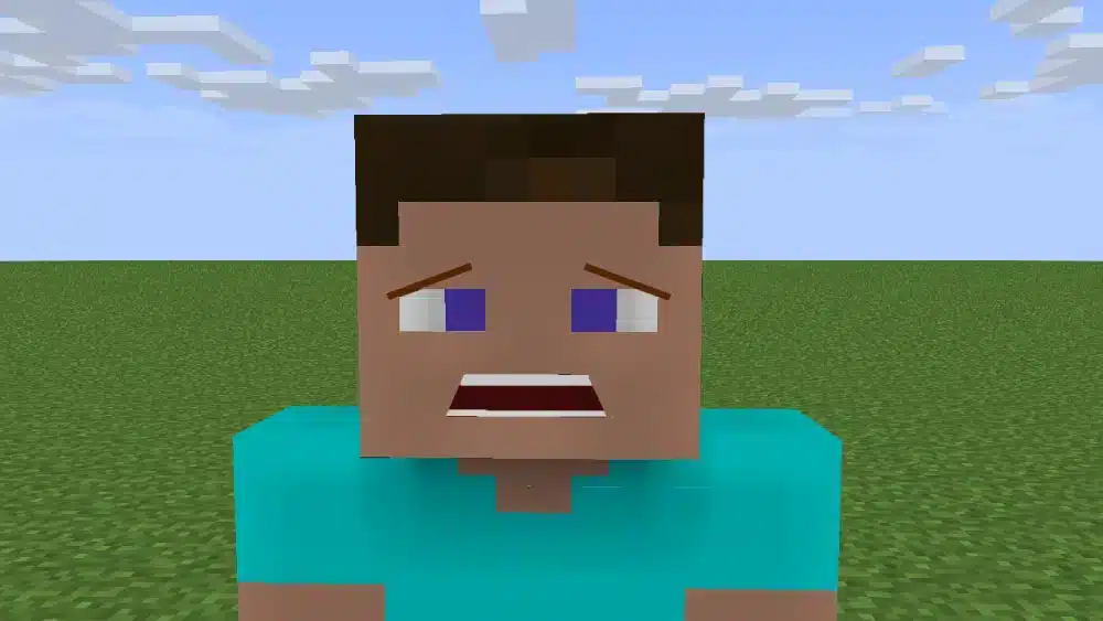 Error Code Drowned Minecraft: understanding the problem