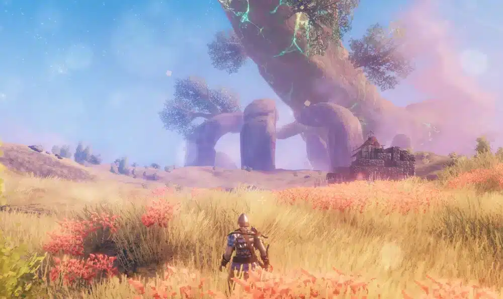 Valheim Seed Viewer: World Generation and Map Planning