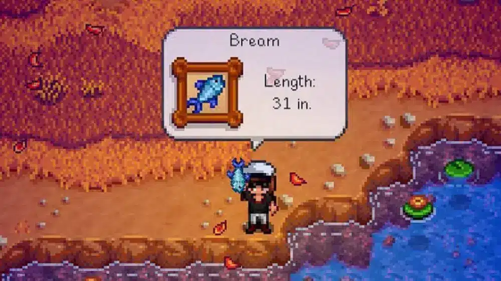 Bream Stardew Valley: Best Fishing Spots, Times, and Easy Tips