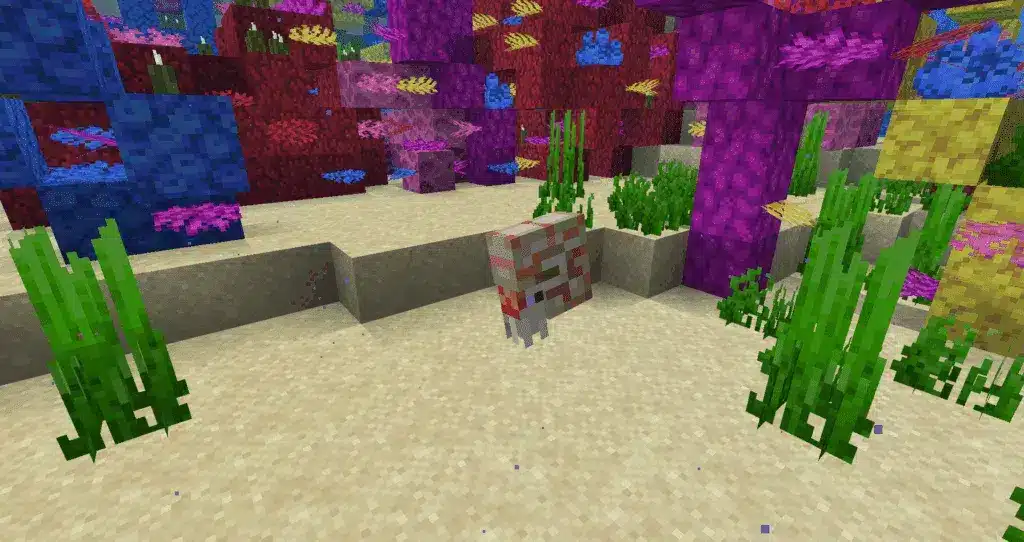 Nautilus Shell Minecraft：完整取得與使用指南